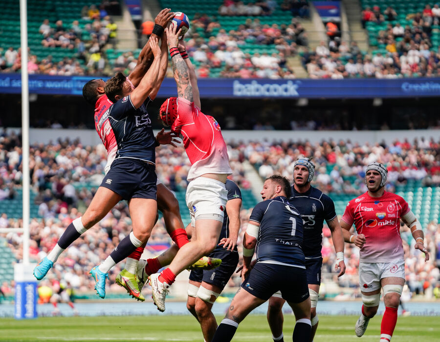 Home - Association of Wrens