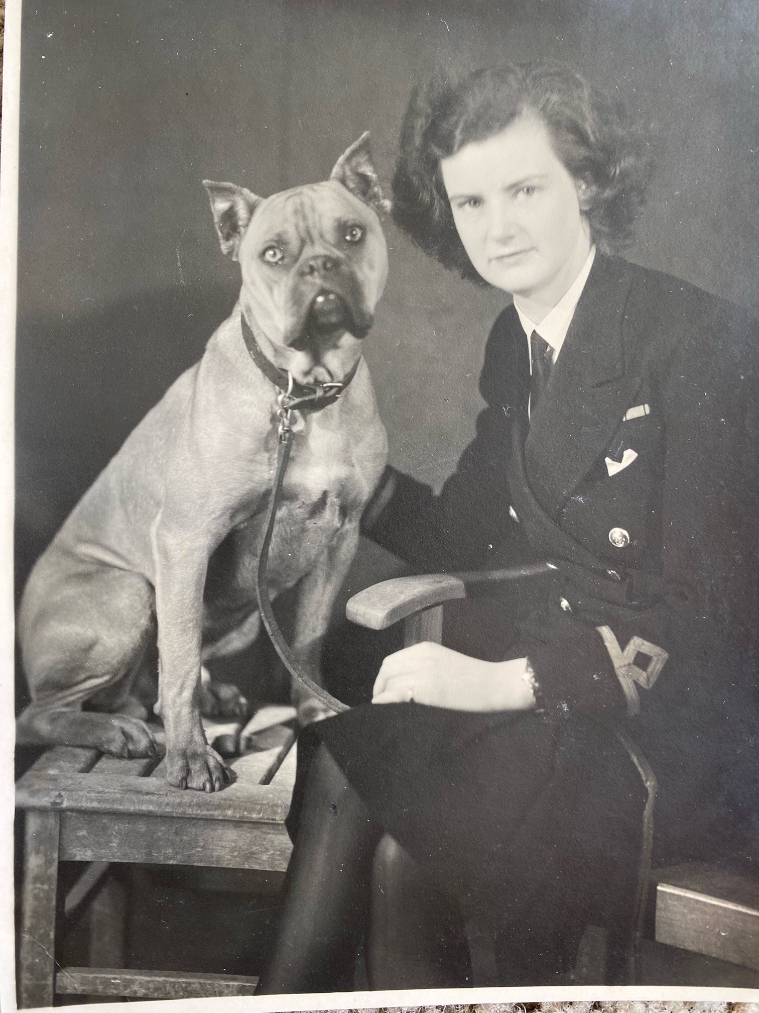 Stephanie Higham - Association of Wrens